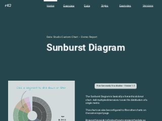 DSCV Sunburst Diagram — Usage Guide