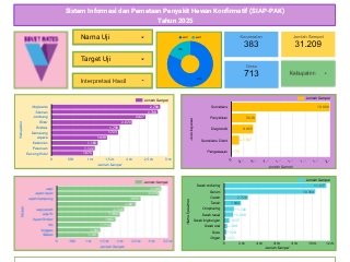 Laporan Peta penyakit Januari - Februari 2025