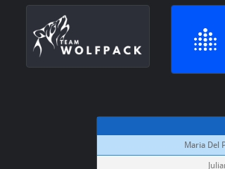 Panel de Informes Wolfpack