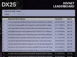 DX25 – DEVNET LEADERBOARD