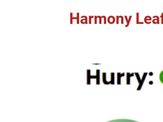 Harmony Leaf CBD Gummies 300mg Reviews: Best Price & Where To Buy?