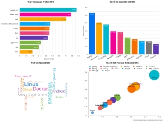 2019 Stack Overflow Developer Survey Dashboard