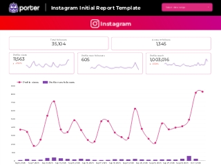 Instagram Insights report template for Google Looker Studio - Porter ...