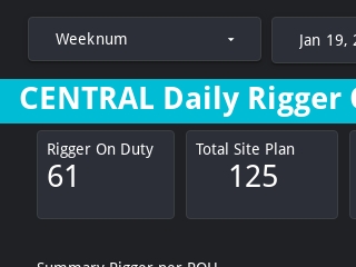 Daily Rigger Productivity