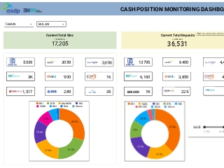 Cash Position Monitoring