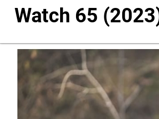 [.WATCH.] 65 (2023) FuLLMovie Free Online On Streaming 123movies