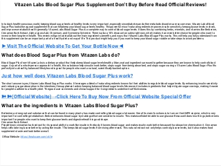 Vitazen Labs Blood Sugar Plus Supplement