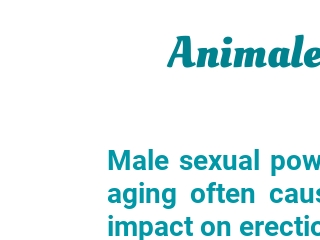 Animale Male Enhancement Canada - Capsules & Gummies For Your Sexual ...