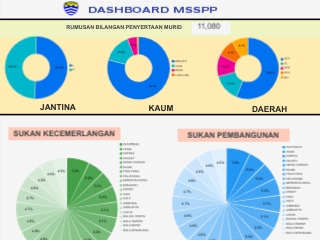 DASHBOARD MSSPP