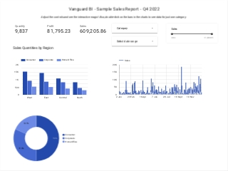 Vanguard - Sample Sales Report