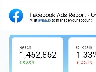 Facebook Ads Report - Avian.io (DEMO)