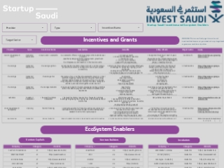 Invest Saudi initiative incentives