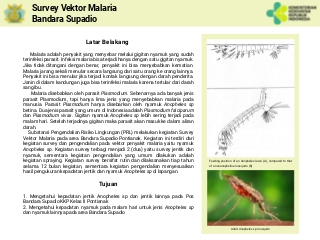 Survey Vektor Malaria - Supadio
